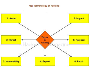 What is hacking? Different types of hackers and more