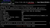Beginners guide to gobuster tool - Hackercool Magazine