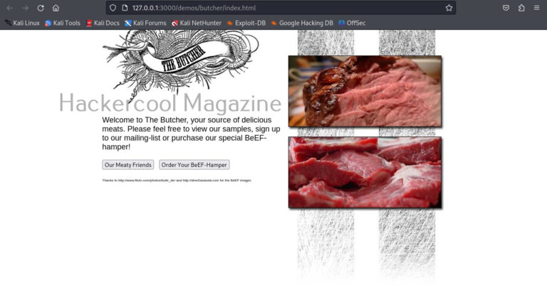 BeEF Browser exploitation tool: Beginners guide - Hackercool Magazine BeEF Browser exploitation tool: Beginners guide - Hackercool Magazine